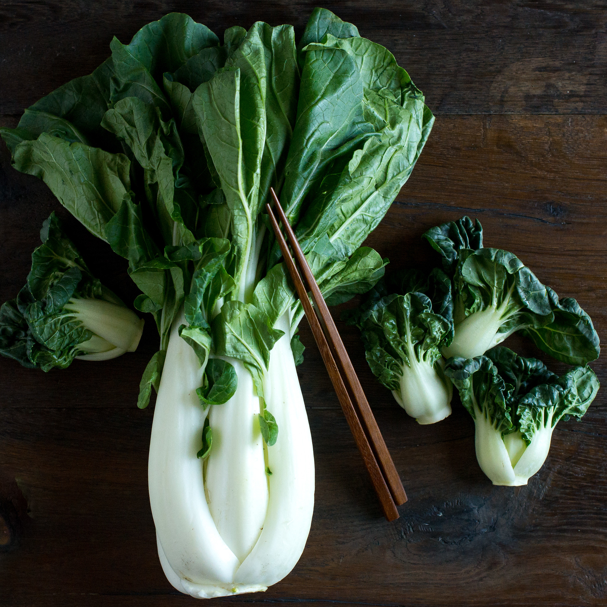 bok choy - Doctor Yum Recipes